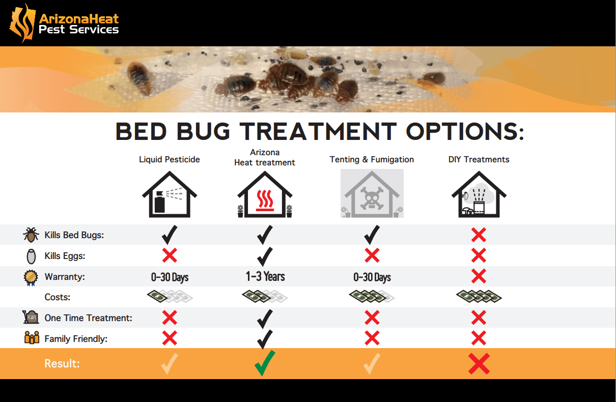 Compare Bed Bug Treatments Phoenix Bed Bug Treatment