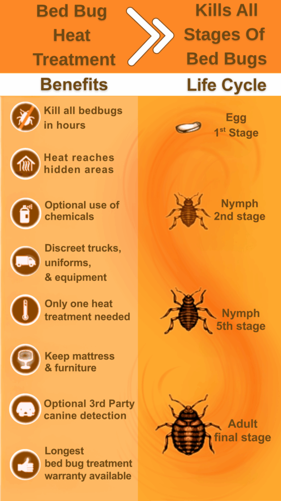 Phoenix Bed Bug Treatment – Phoenix Bed Bug Treatment